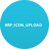 BRP_ICON_UPLOAD | Load SAP Icons to BDS | SAP transaction code ...